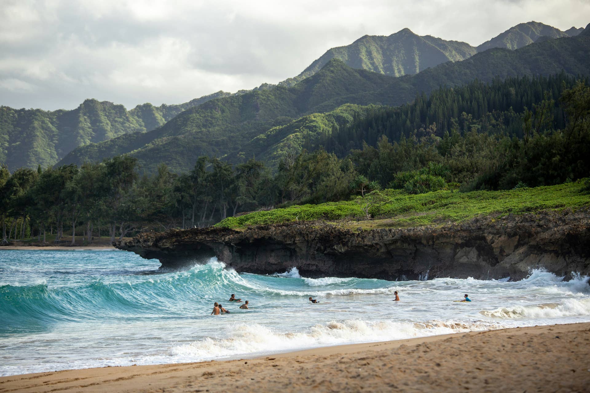Kauai Coffee Company may close in 2026 - TravelHost
