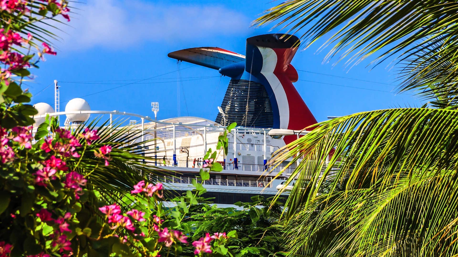 Carnival Cruise Line sets record straight on taking food to cabins ...