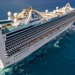 Princess Cruises addresses buffet table hogging problem - TravelHost