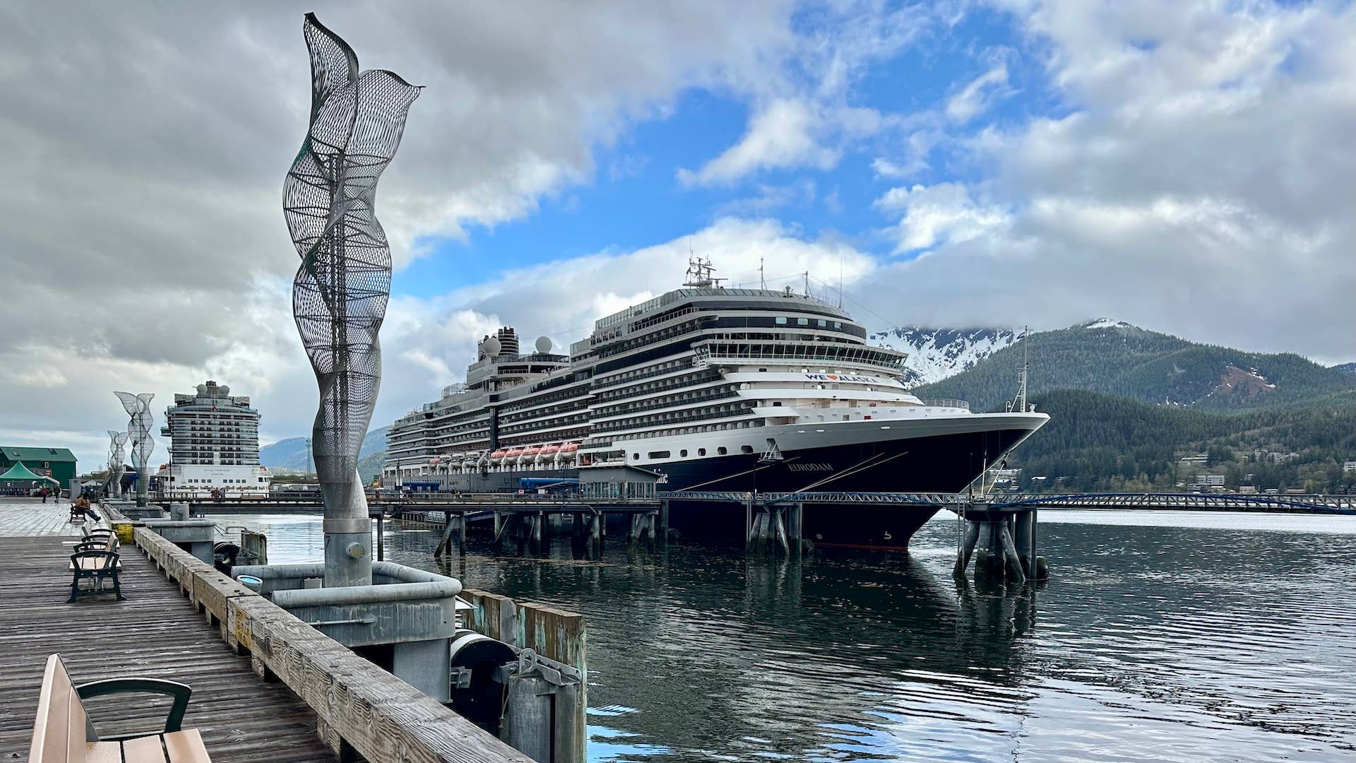 Alaska cruise whale watching tips from a wildlife lover - TravelHost