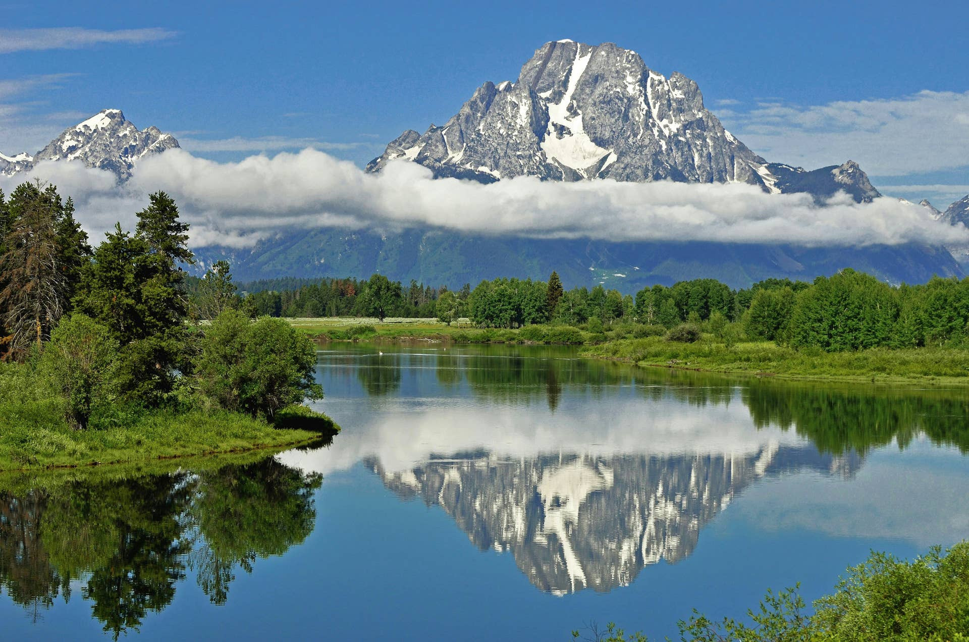 Robotic Birds Are Being Put in Grand Teton National Park - TravelHost