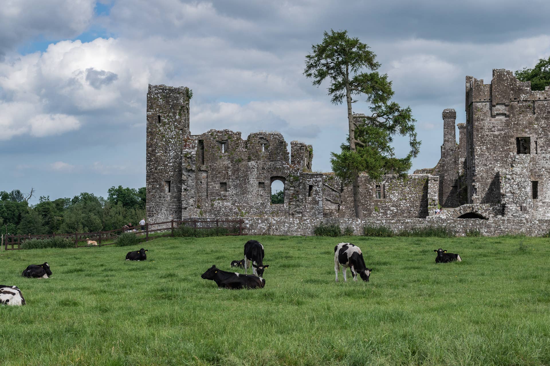 Ireland has mystery hiding in Rathmore Abbey - TravelHost