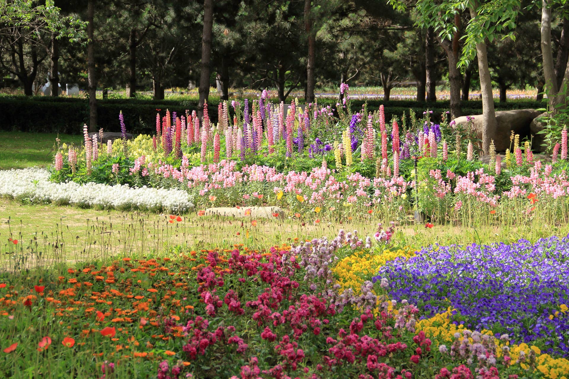 Here's what you need to know about the 'Flower Route' - TravelHost