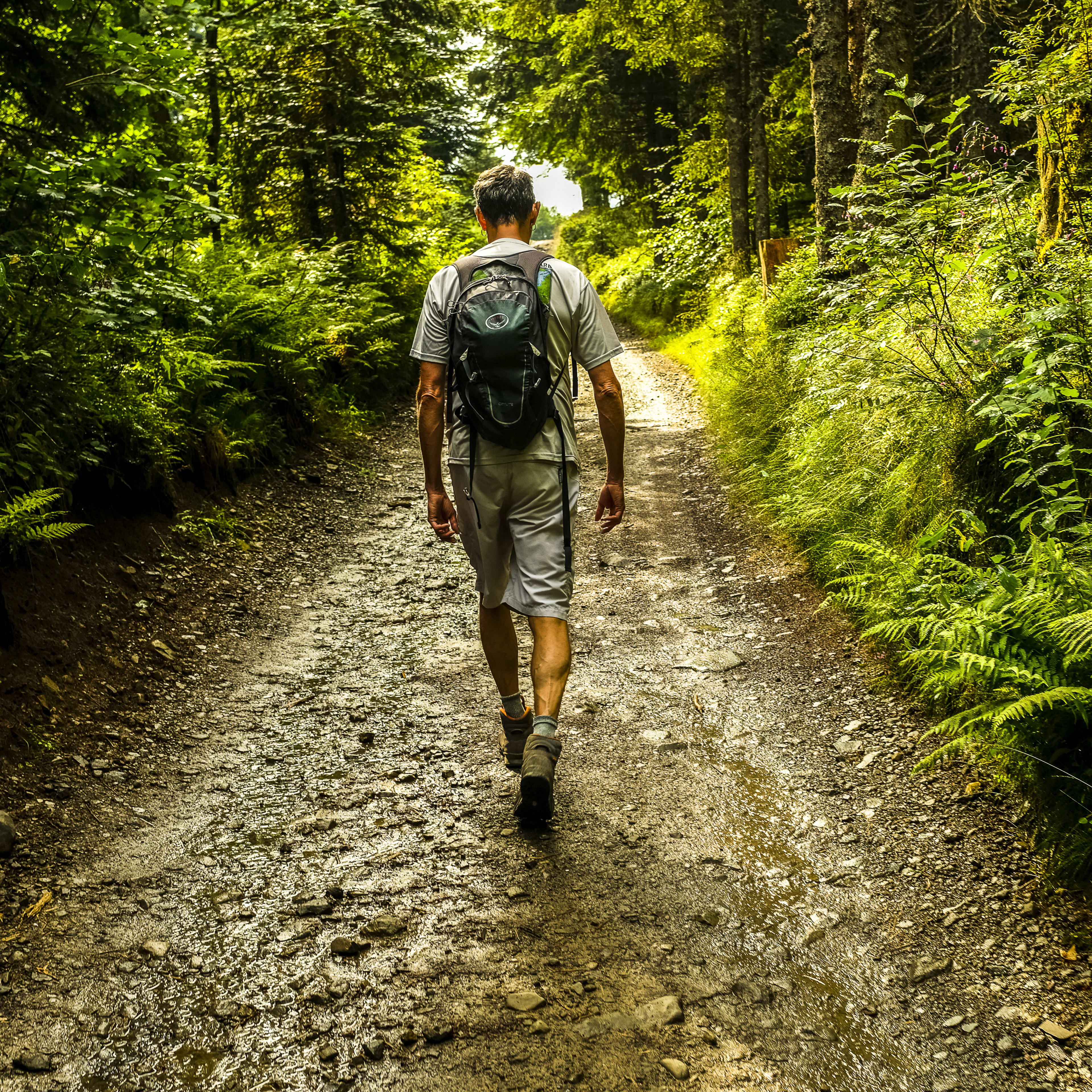 Best Rocky Mountain National Park hiking trails - TravelHost