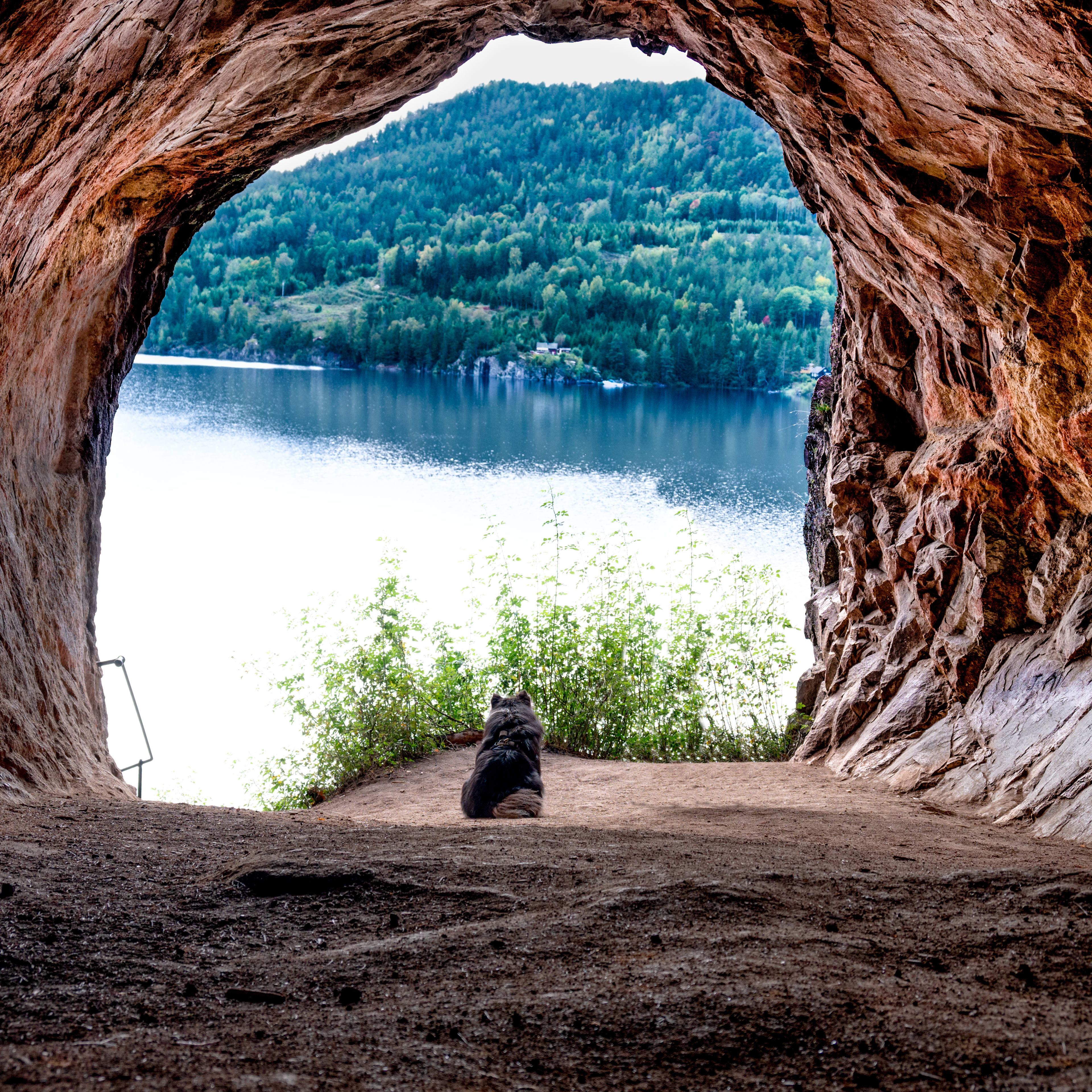 You can tour a 900-year-old hermit's cave in London - TravelHost