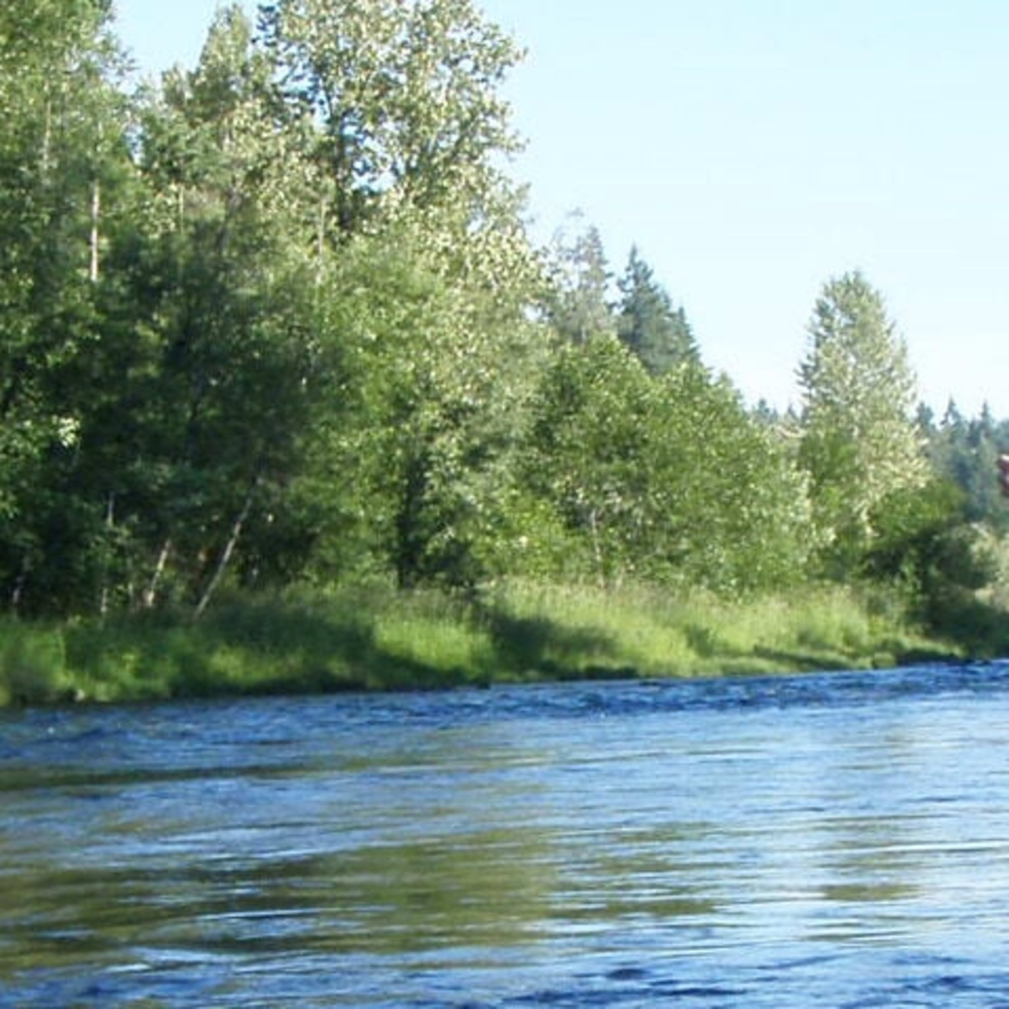 Do you tip Disney travel agents? - TravelHost