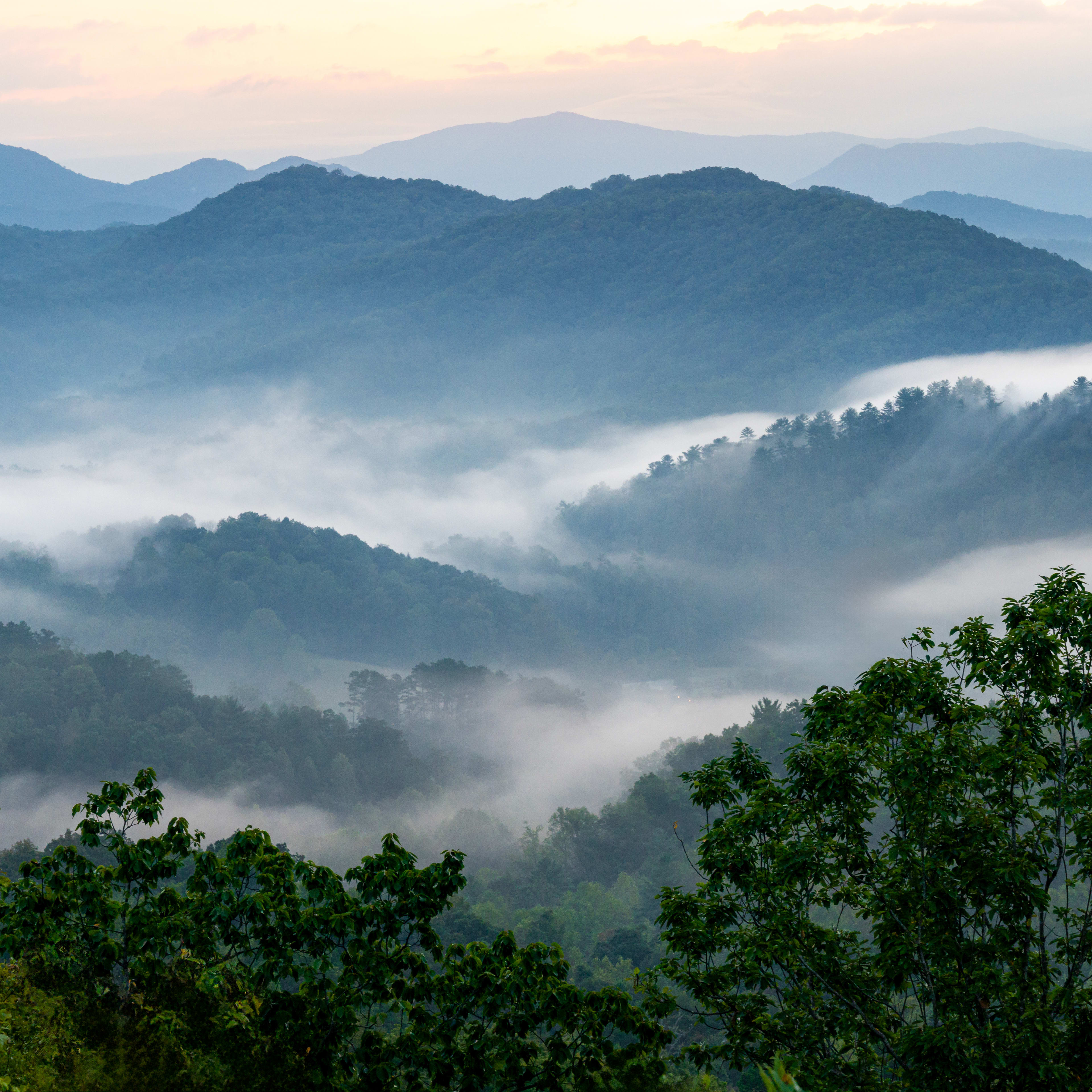 3 Cruise Packing Mistakes to Avoid: Essential Toiletries & Items ...