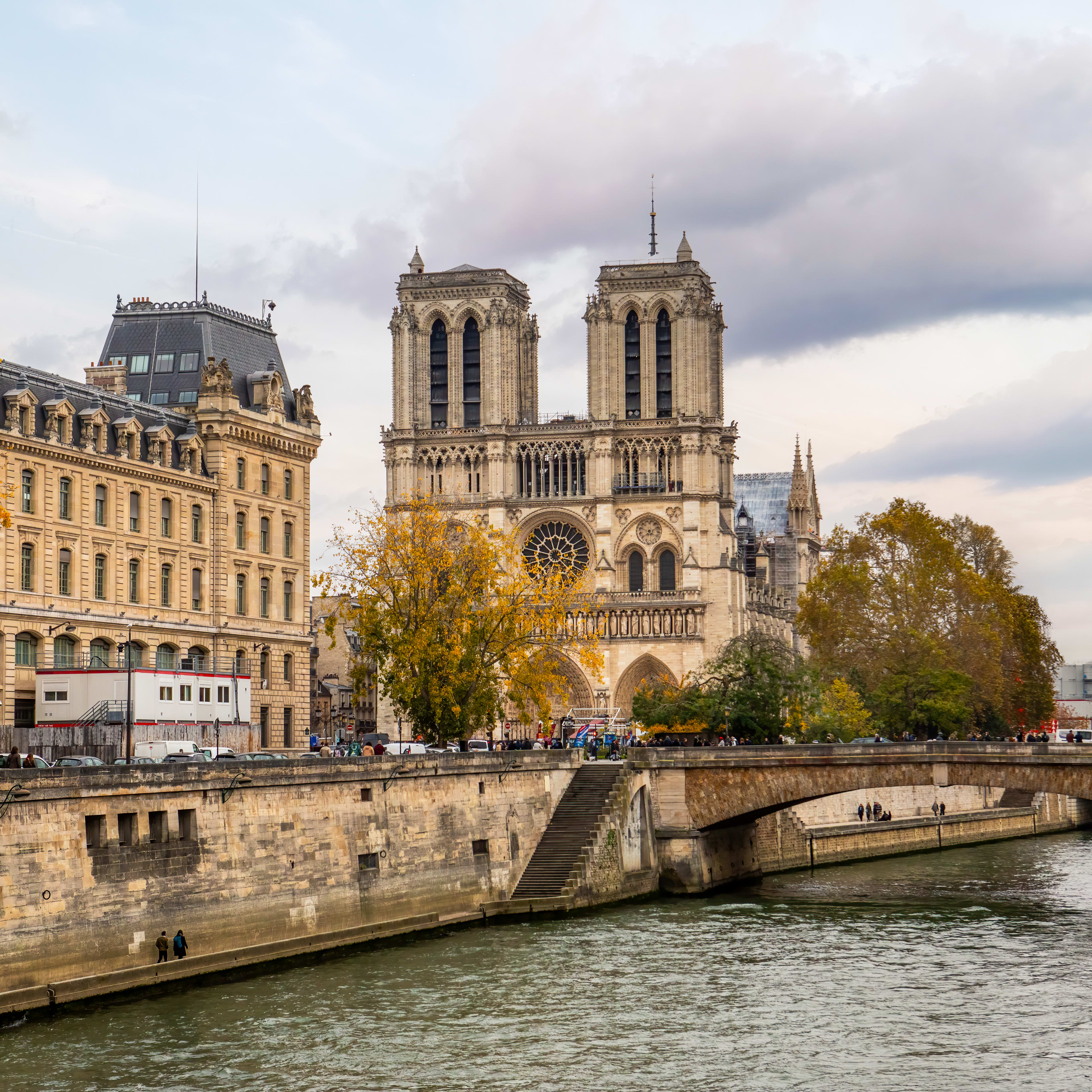 Magic Carpet Bar Celebrity Apex: Unique Cocktails & Experience Review ...