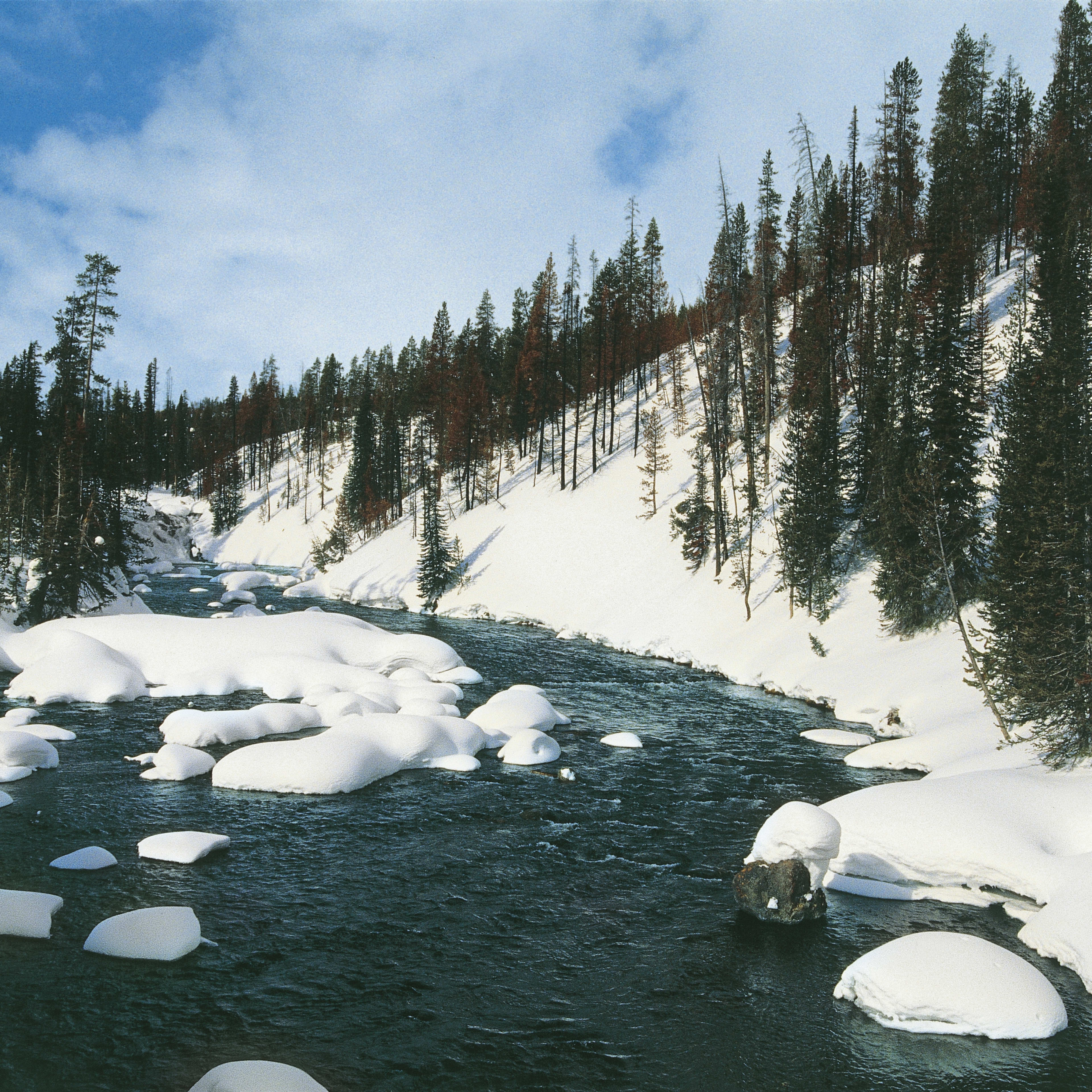 Is Yellowstone’s rising ground something travelers should worry about ...