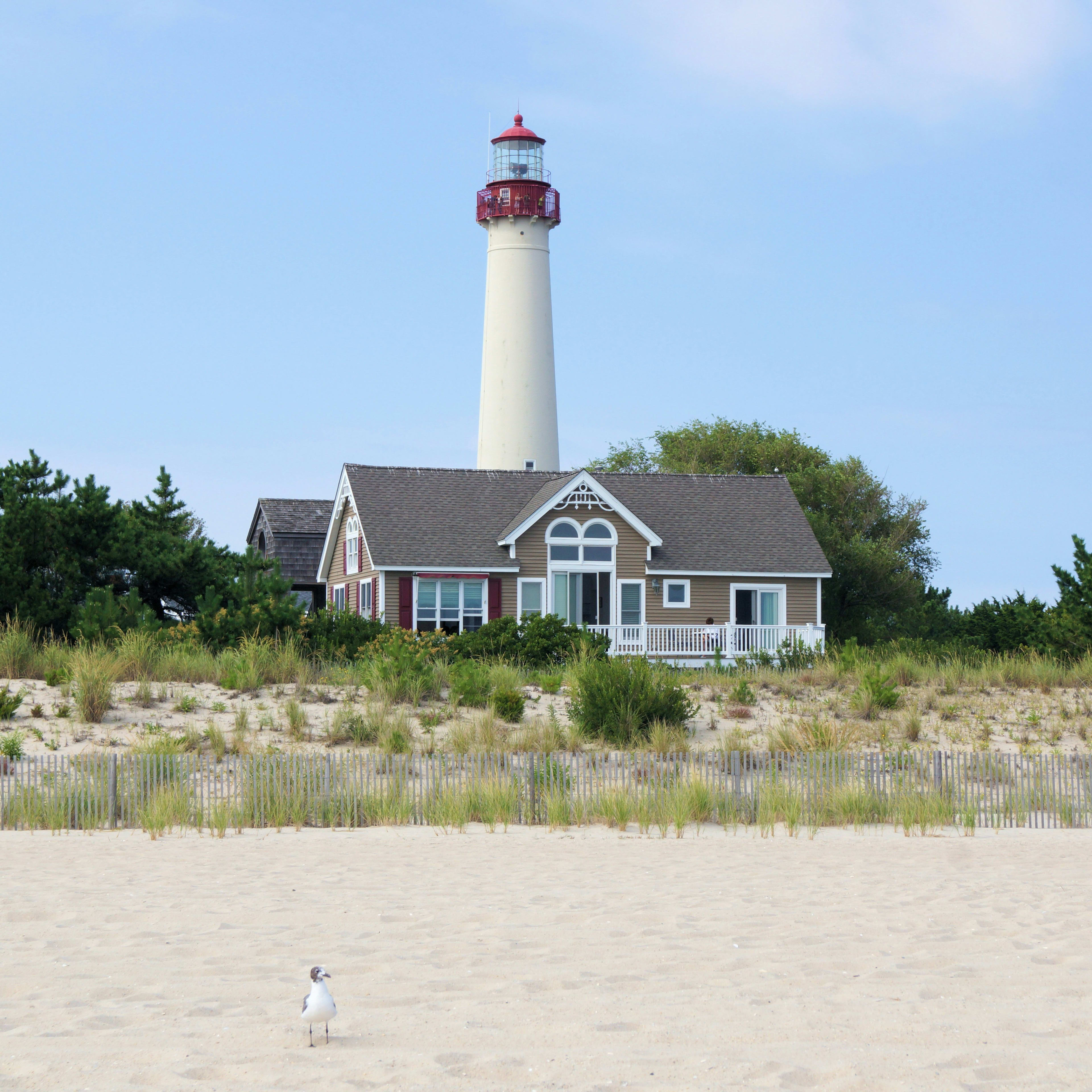 Royal Caribbean begins building its fifth Icon Class cruise ship ...