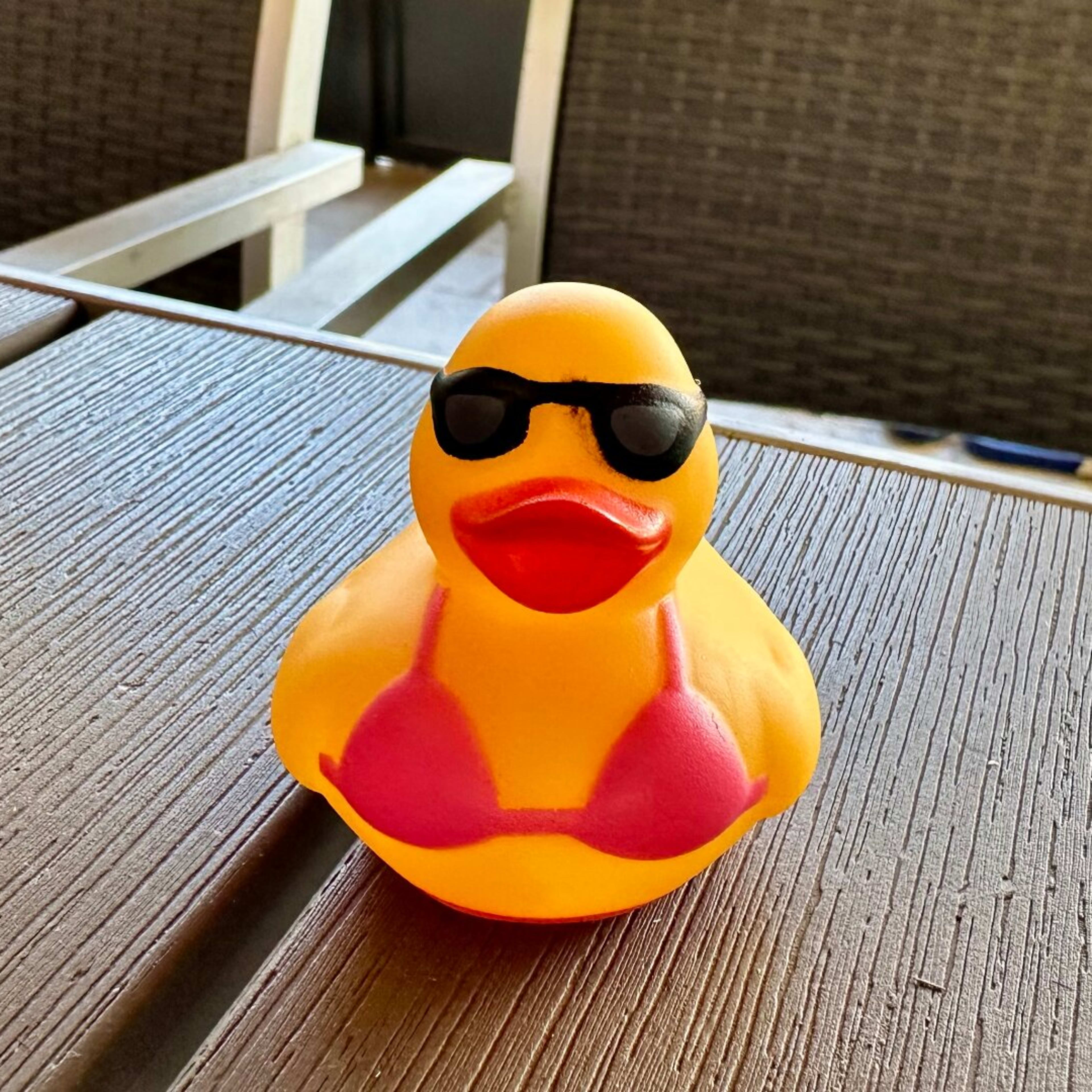 Cruise duck hunting etiquette rules for Royal Caribbean cruises ...