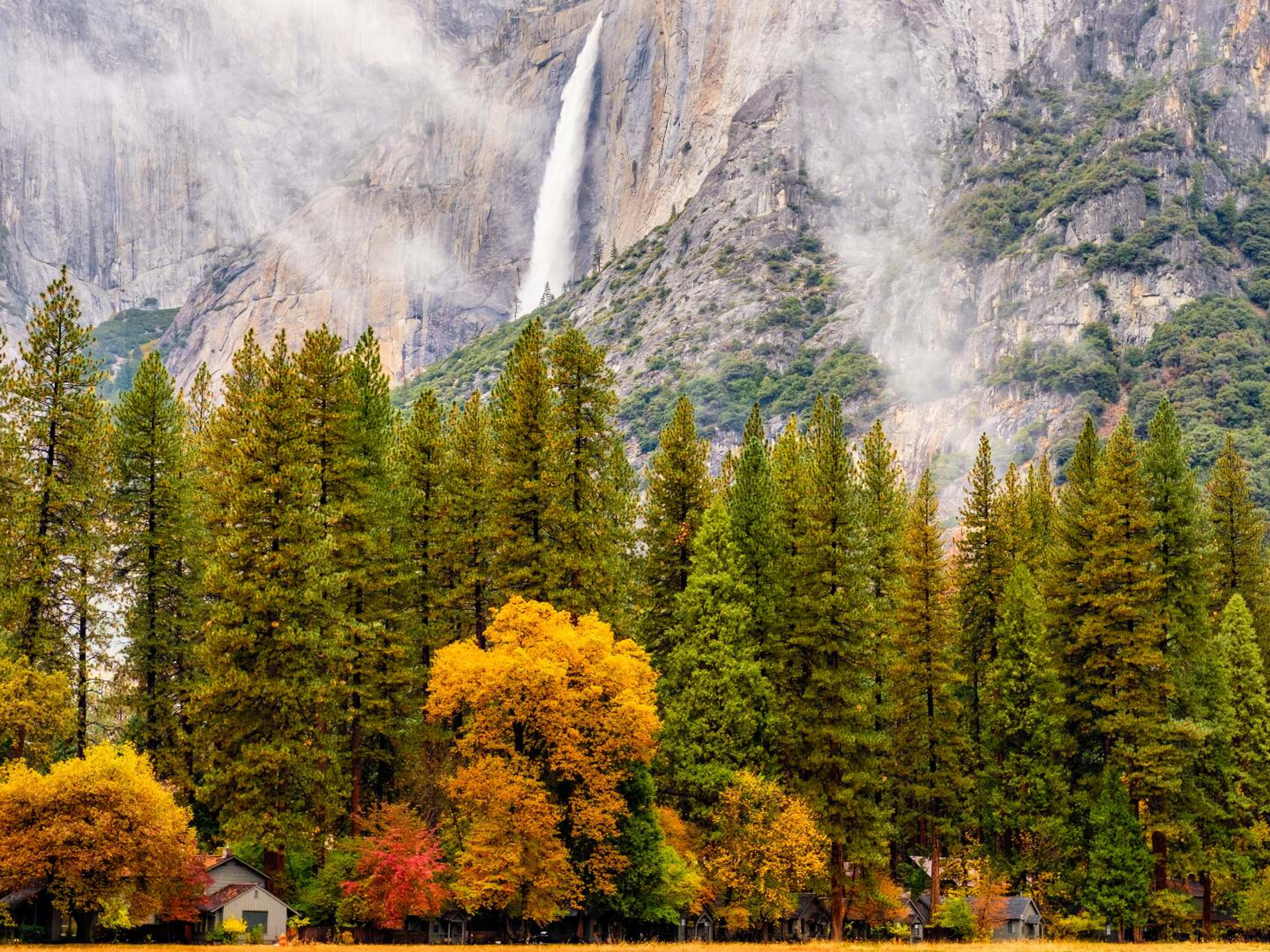 Yosemite ranger fired after displaying trans pride flag - TravelHost
