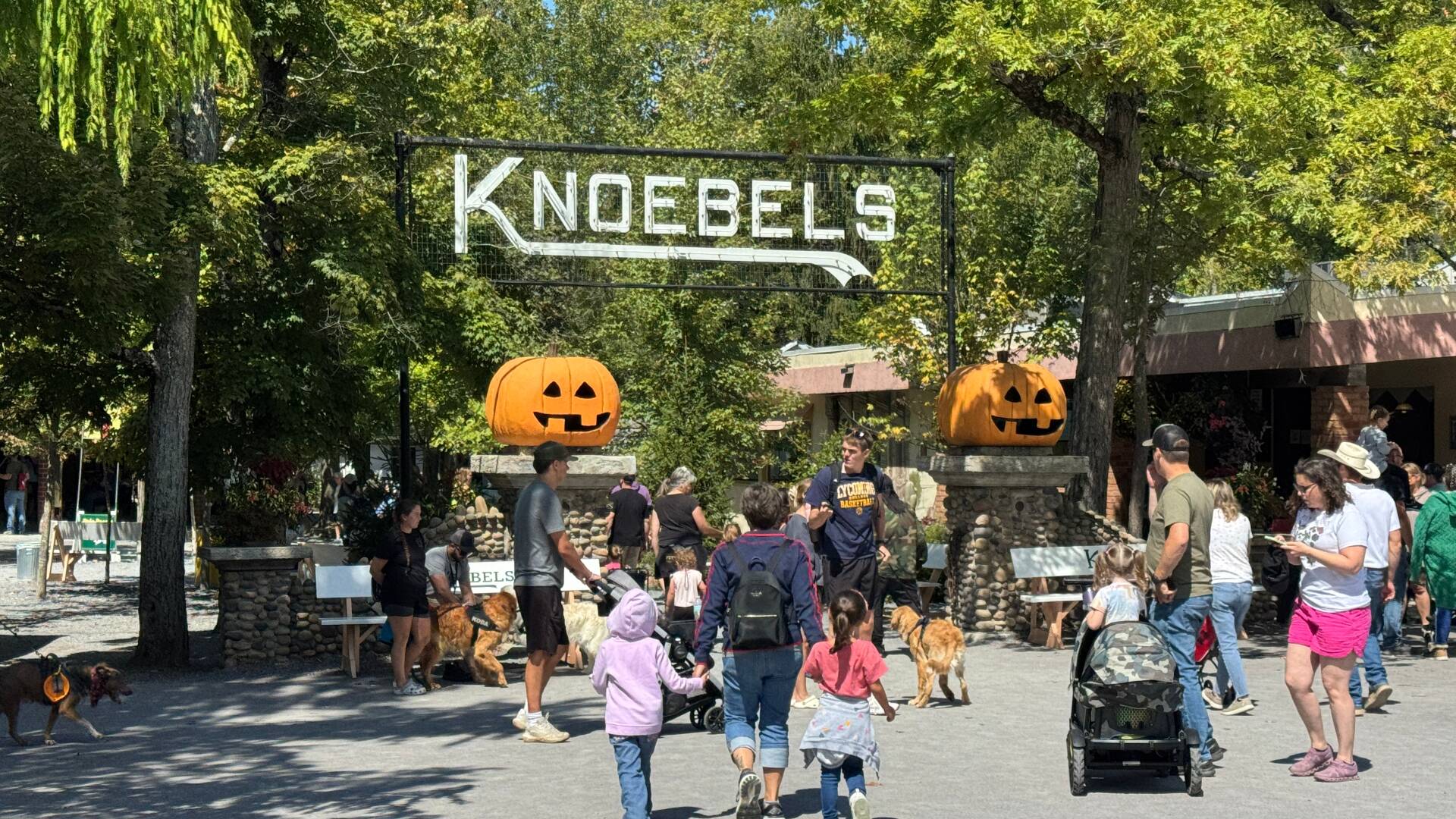 Phoenix at Knoebels Amusement Resort named best rollar coaster - TravelHost