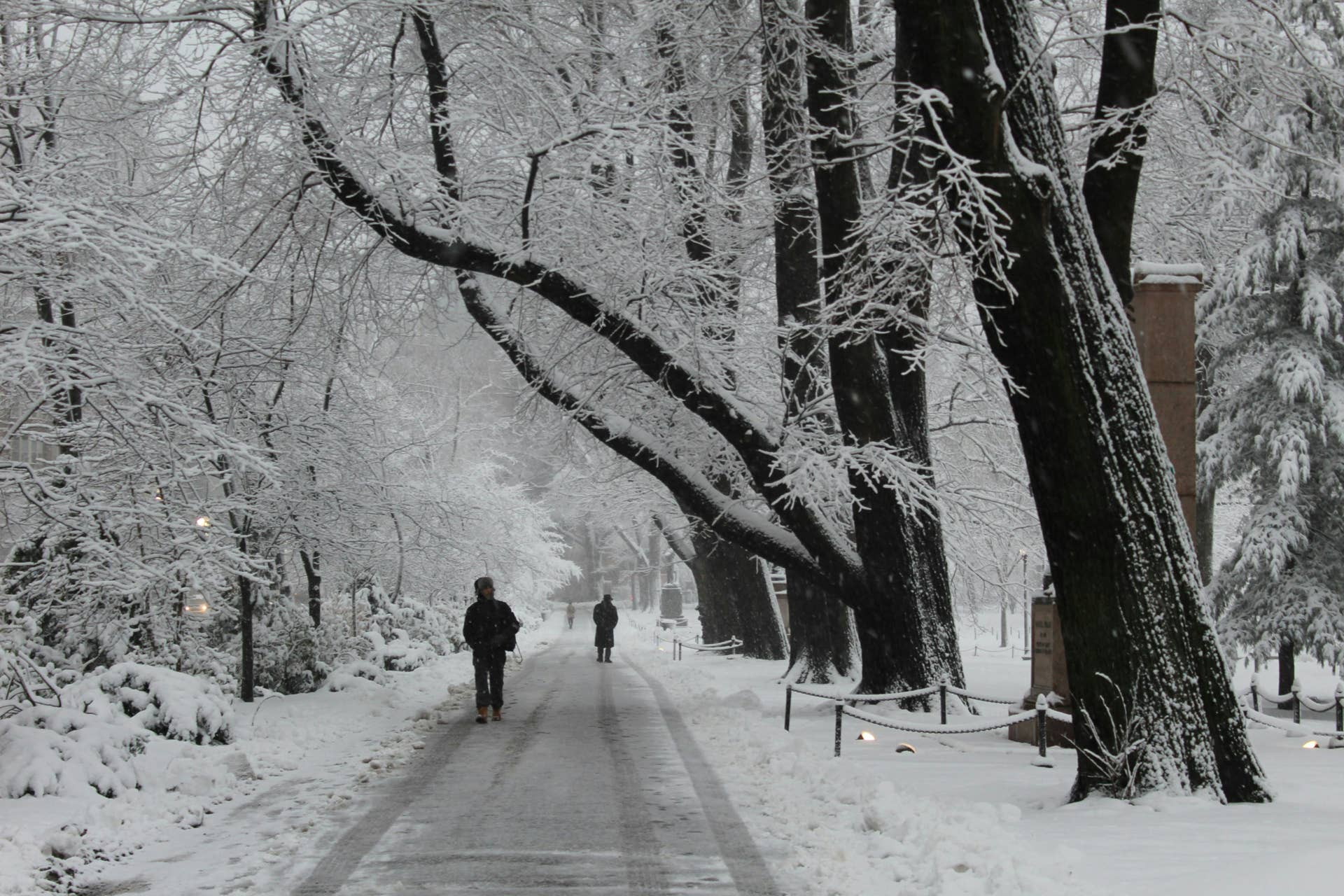 Why Boston is stunning in the winter and worth the cold - TravelHost