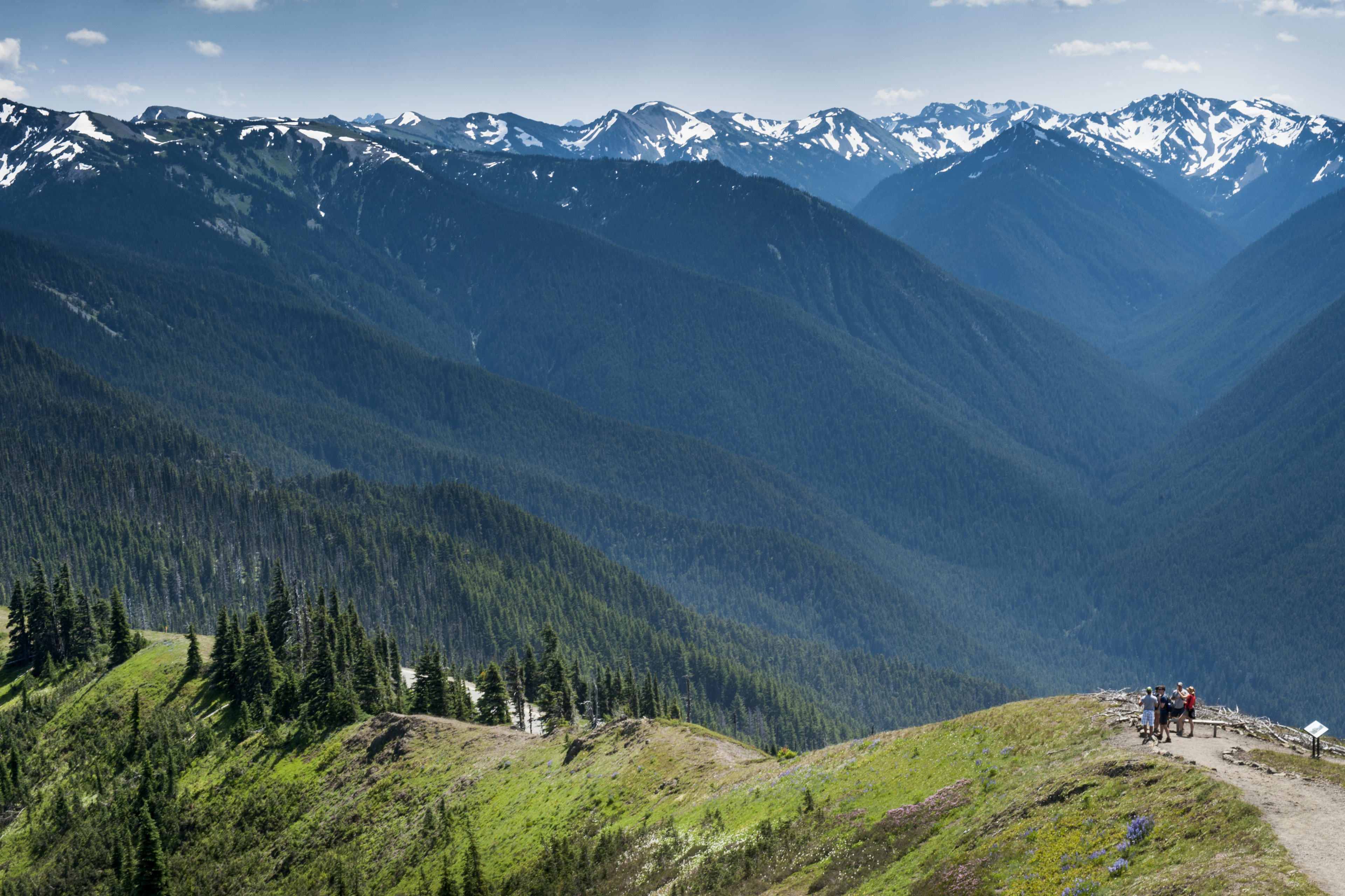 What to do in Olympic National Park? 9 spots you need to see - TravelHost