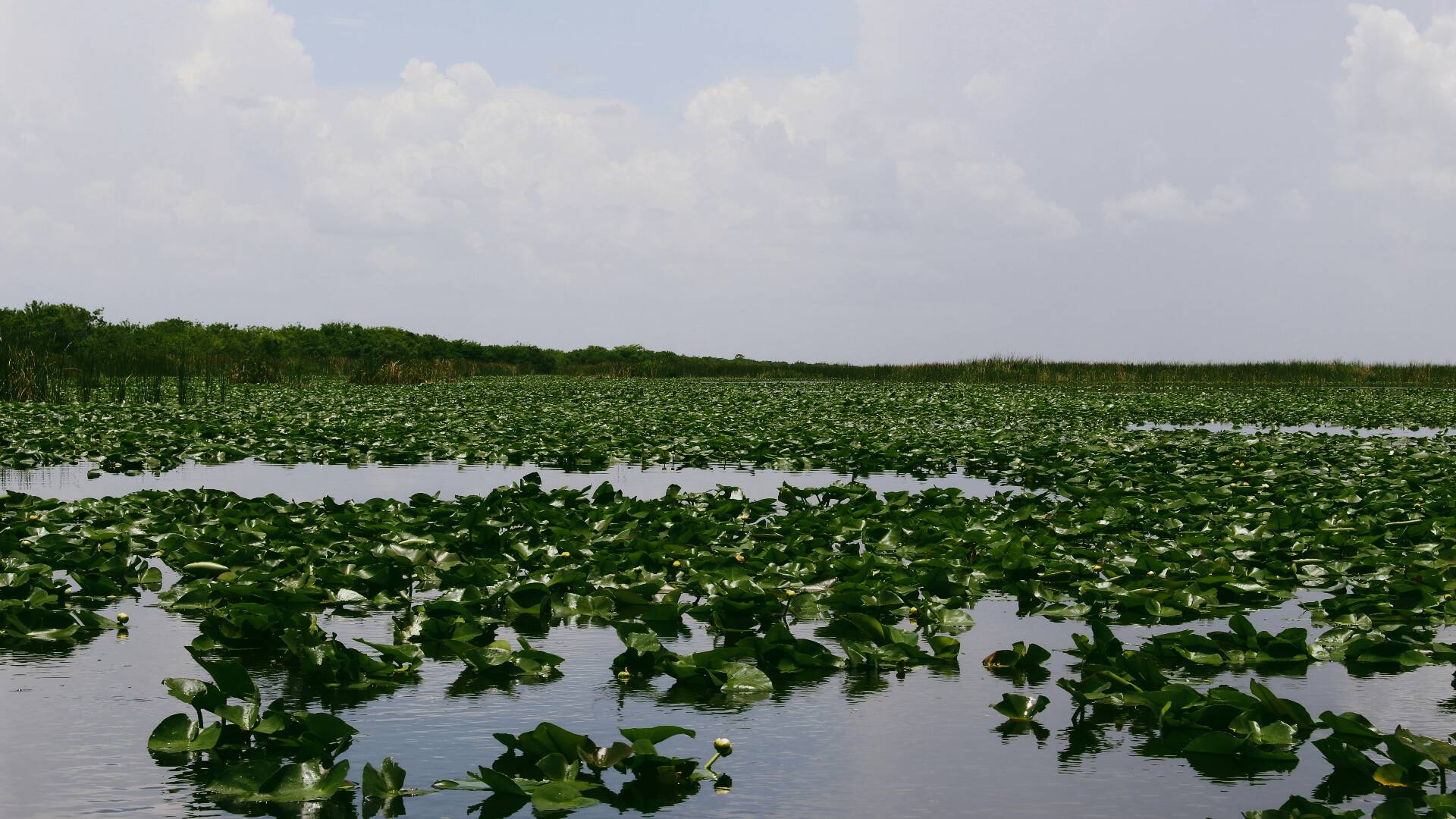 Can you hike in the Everglades National Park? - TravelHost