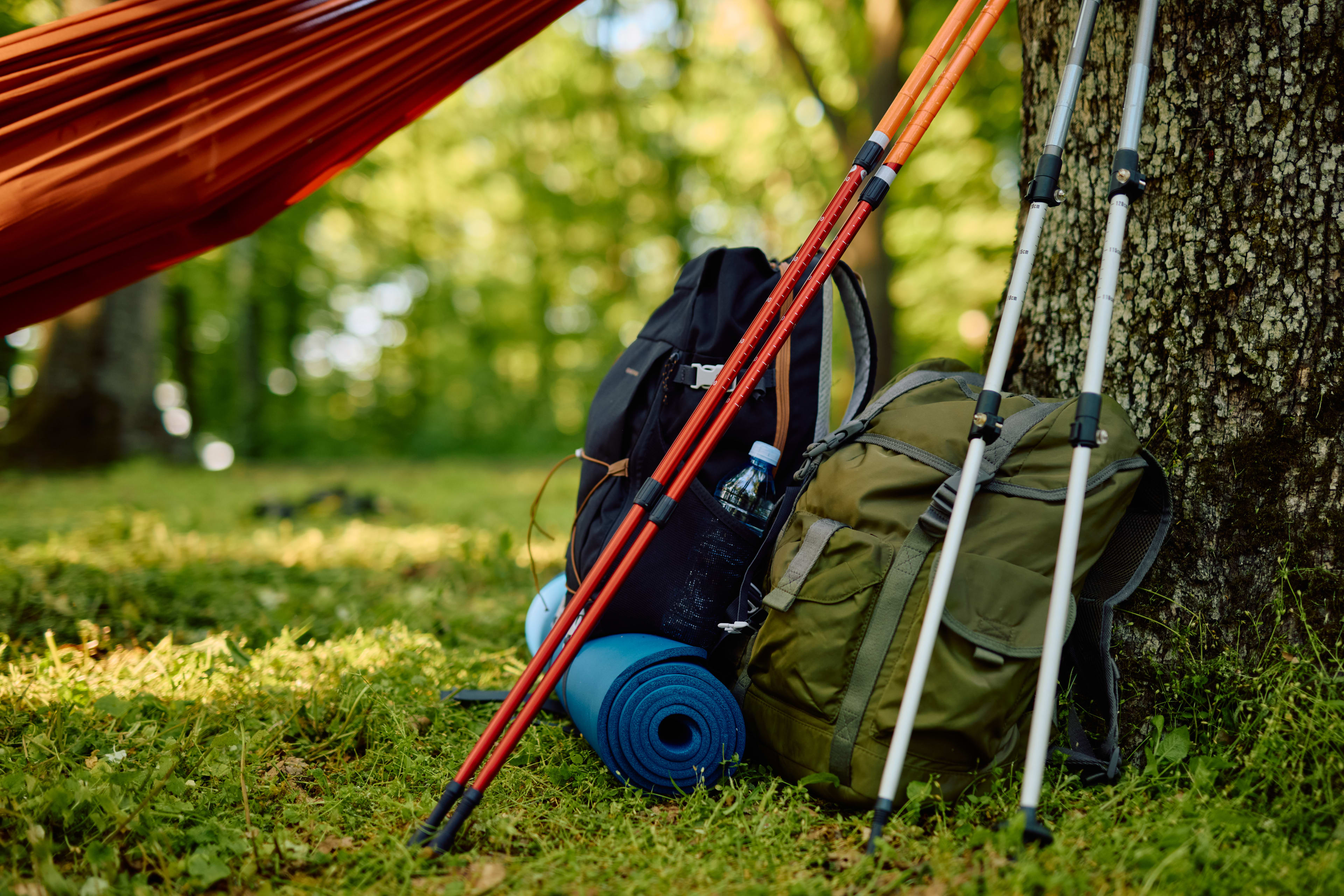 Essential Hiking Gear Checklist - TravelHost