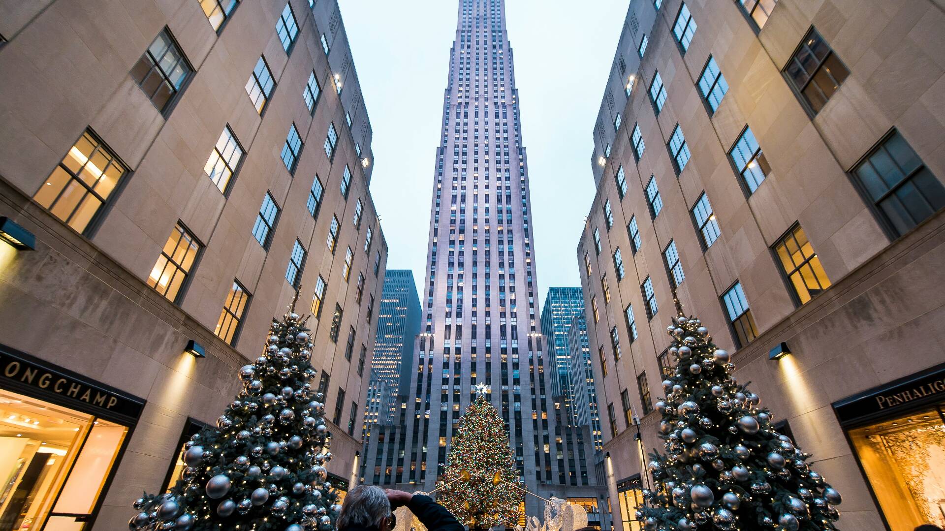What happens to the Rockefeller Christmas Tree after the holidays ...