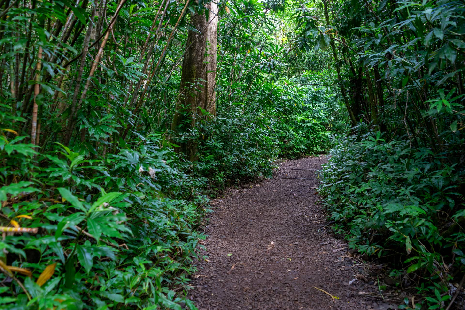 Best beginner hiking trails in each state - TravelHost