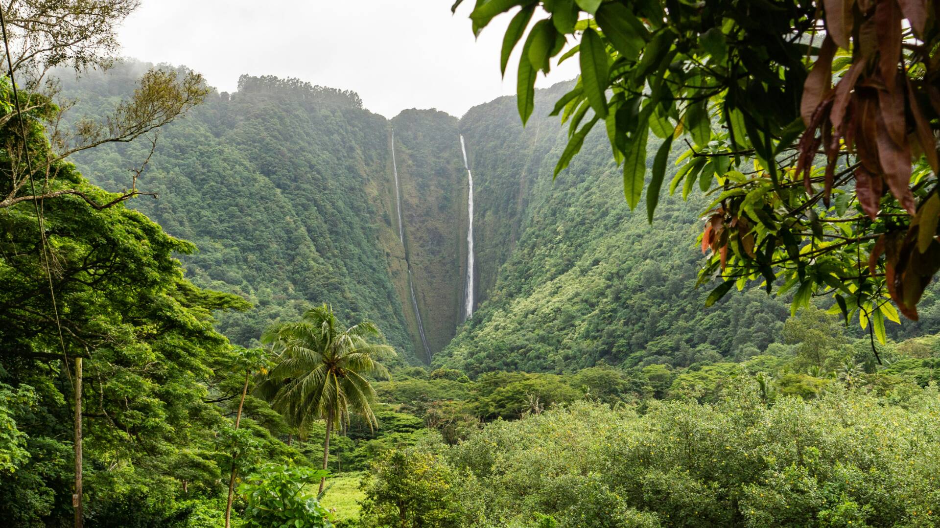 Hawaiian island ranks among most affordable 2026 trips - TravelHost