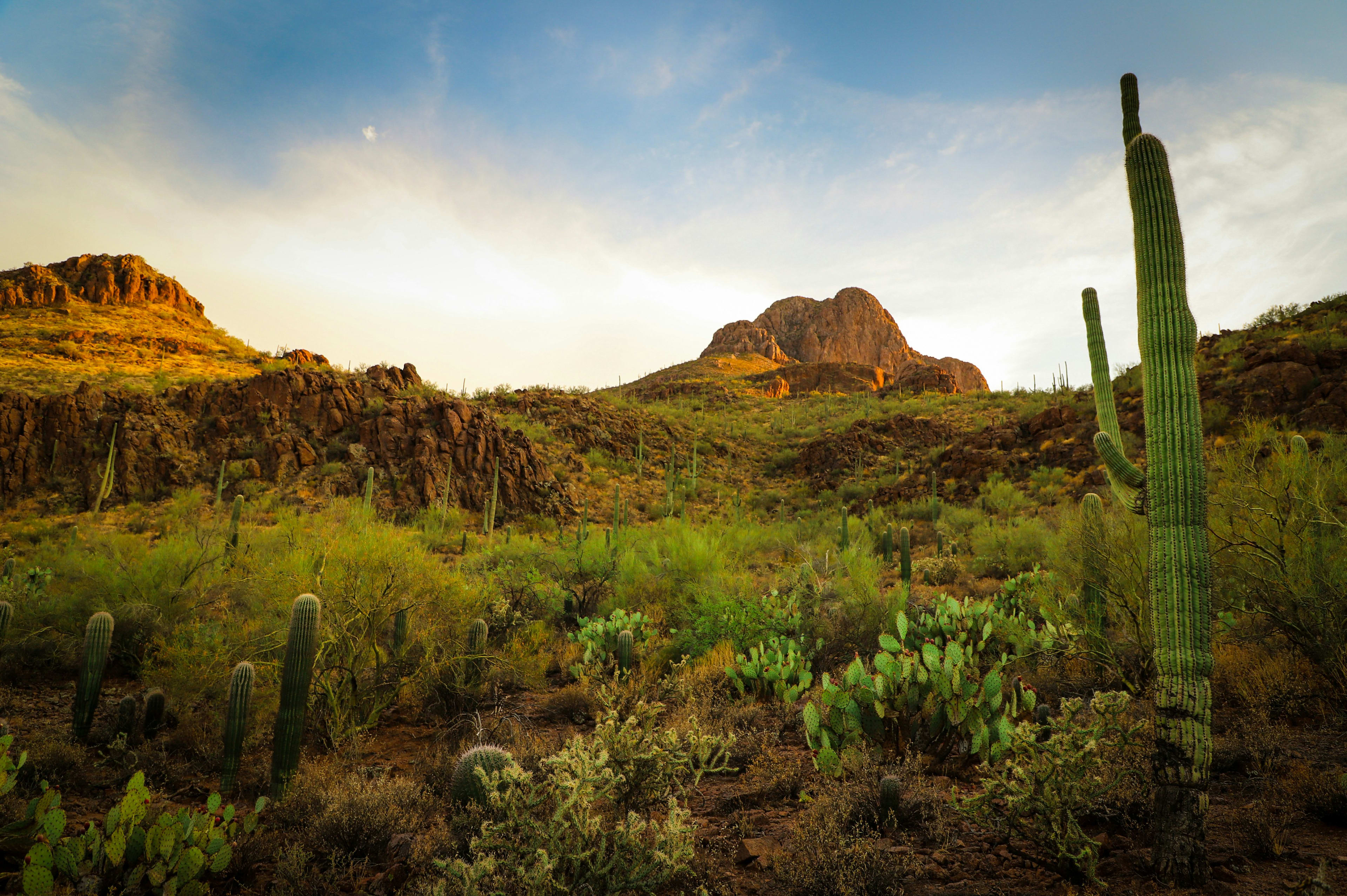 Arizona named best state for winter getaway - TravelHost