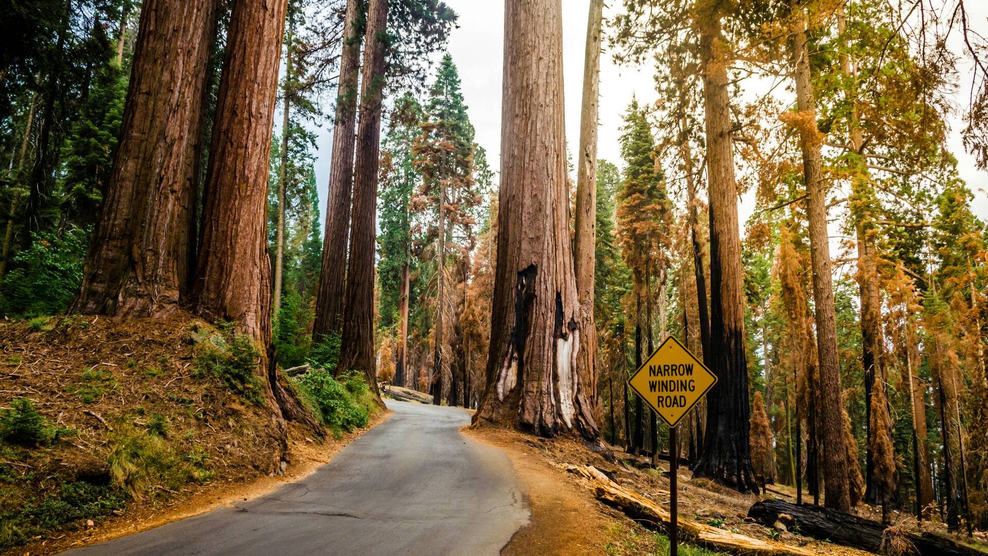 11 U.S. national parks to start charging $100 fee - TravelHost