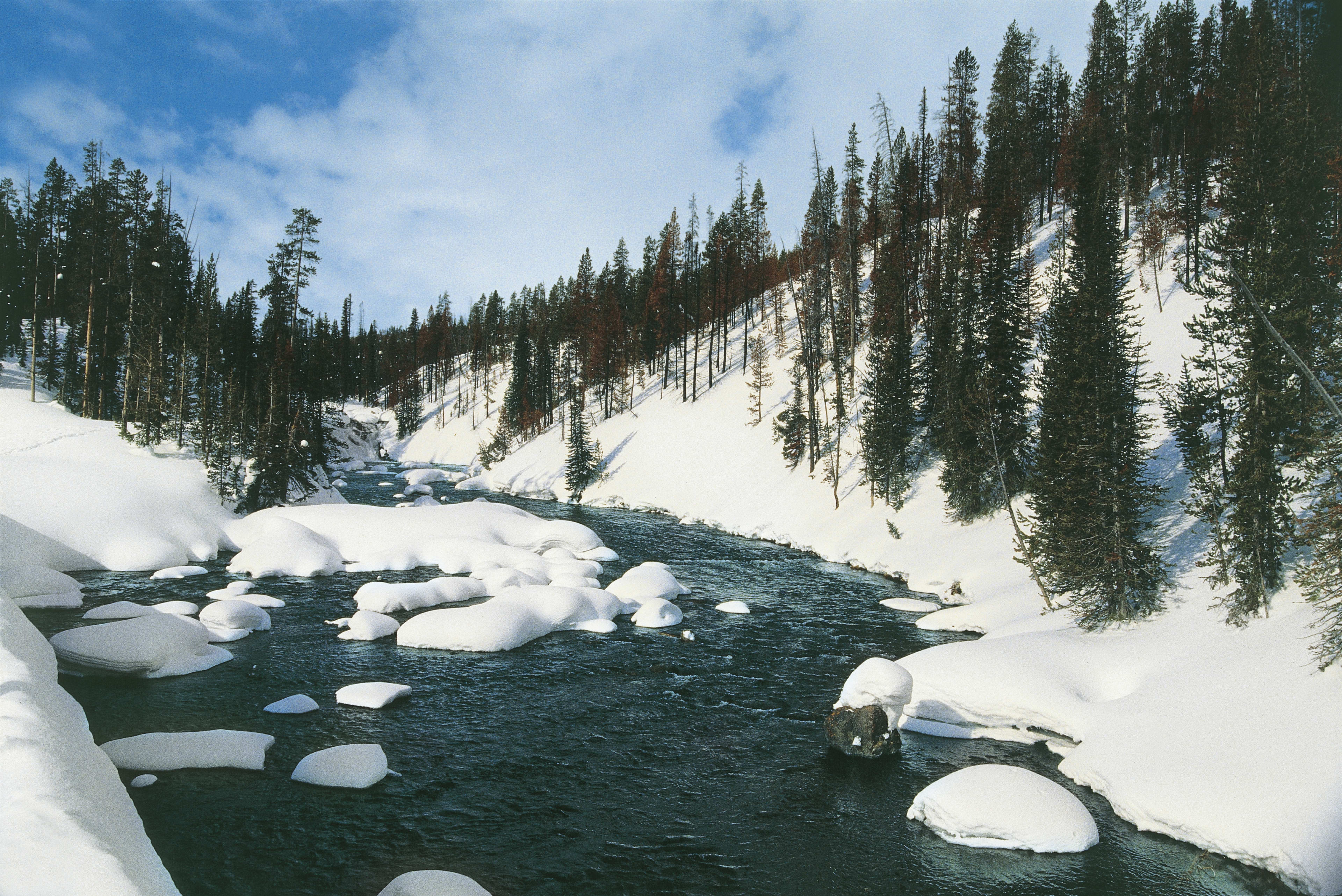 Why winter may be the best time to visit Yellowstone National Park ...