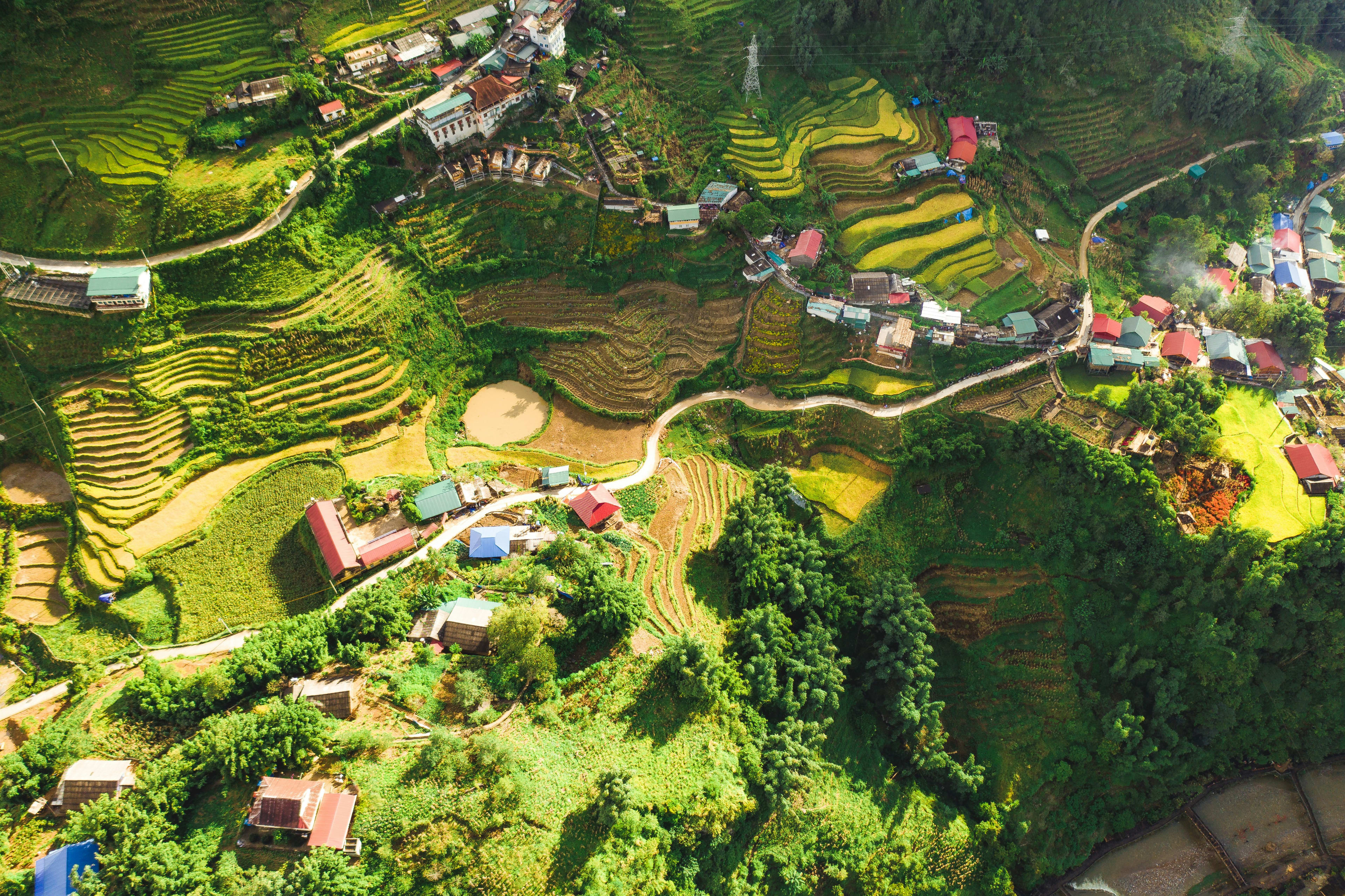 Sapa n Vietnam named a top trending travel destination in Asia for 2026 ...